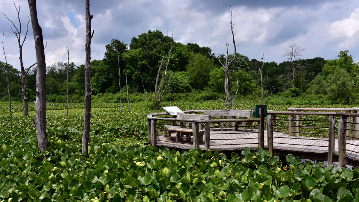 Cuyahoga Valley National Park | TCLF